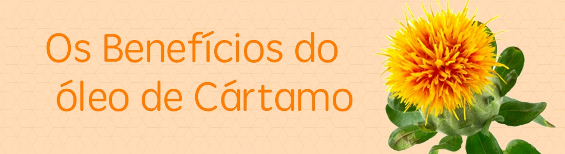 SE CUIDE MAIS E VIVA MAIS: Os benefícios do Cártamo