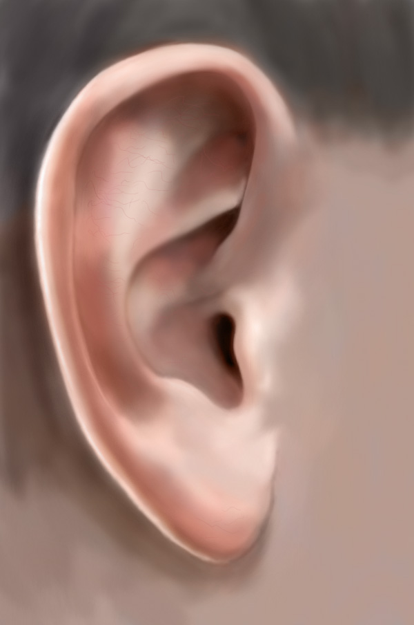 Draw Me Blog: How to draw an ear