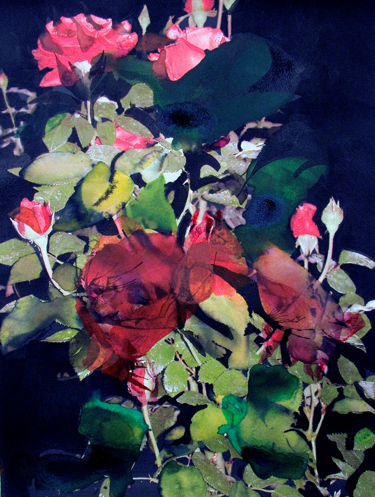 Bilinear Art Consulting: Timothy Cross | New Works