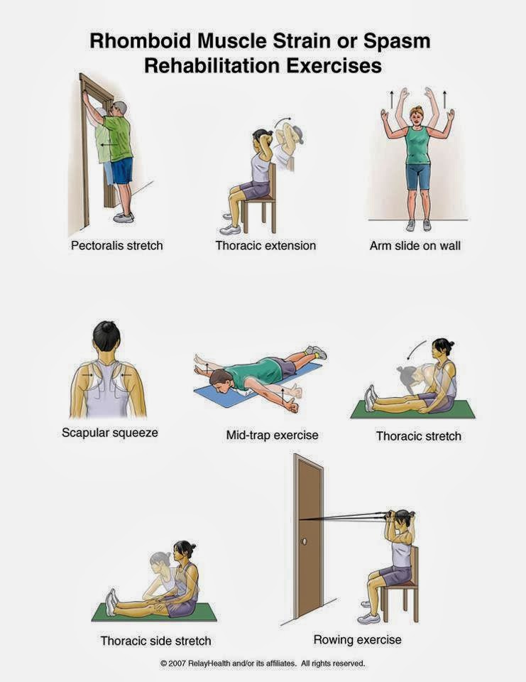 Physio Health: Upper Back Muscle Strain or Spasm Exercises