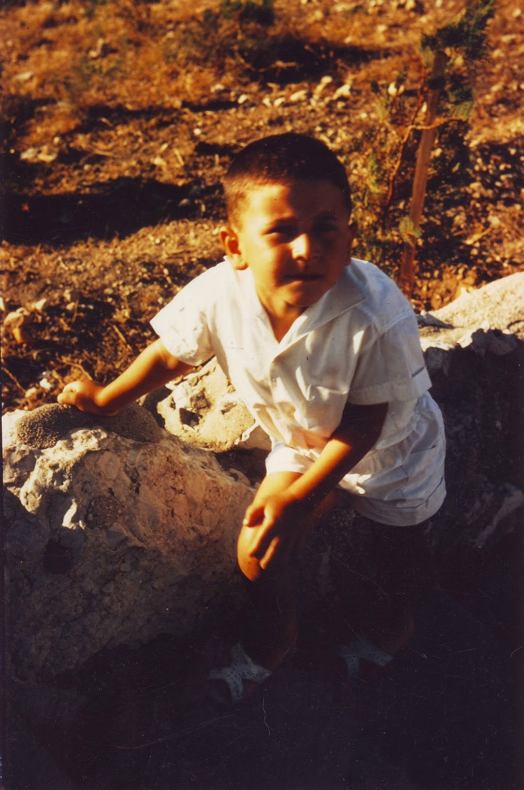 NATAF Story: Jacqueline