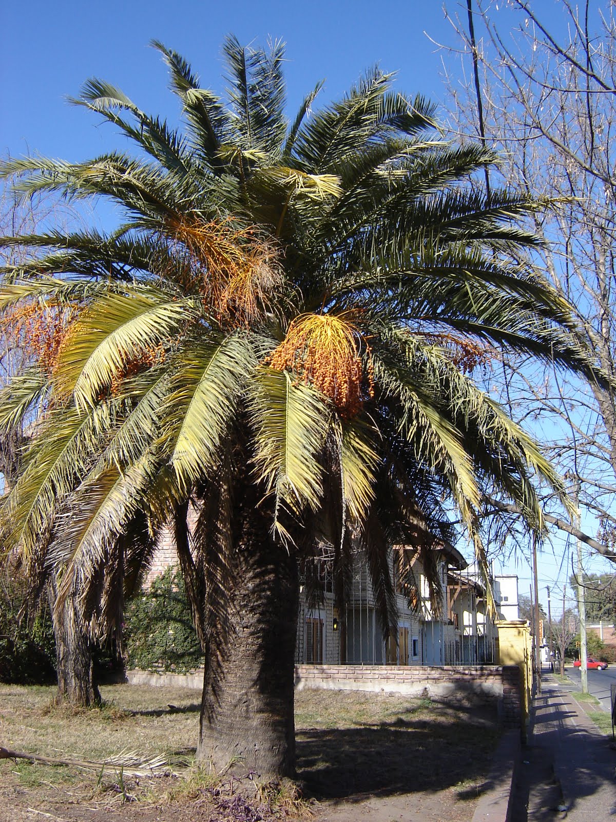 v e r d e c h a c o: noviembre 2011