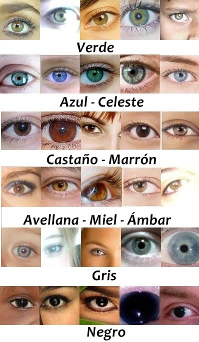 Enroque de ciencia: ¿Por qué los ojos son de colores?