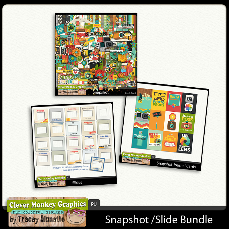 Newest Releases: Snapshot, Slides & Snapshot Journal Cards | Clever ...
