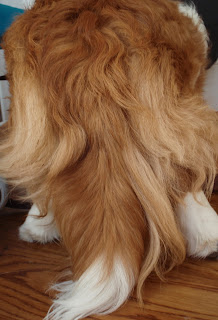 The Chronicles of Cardigan: The Skinny on Jon Farleigh's Booty - The ...