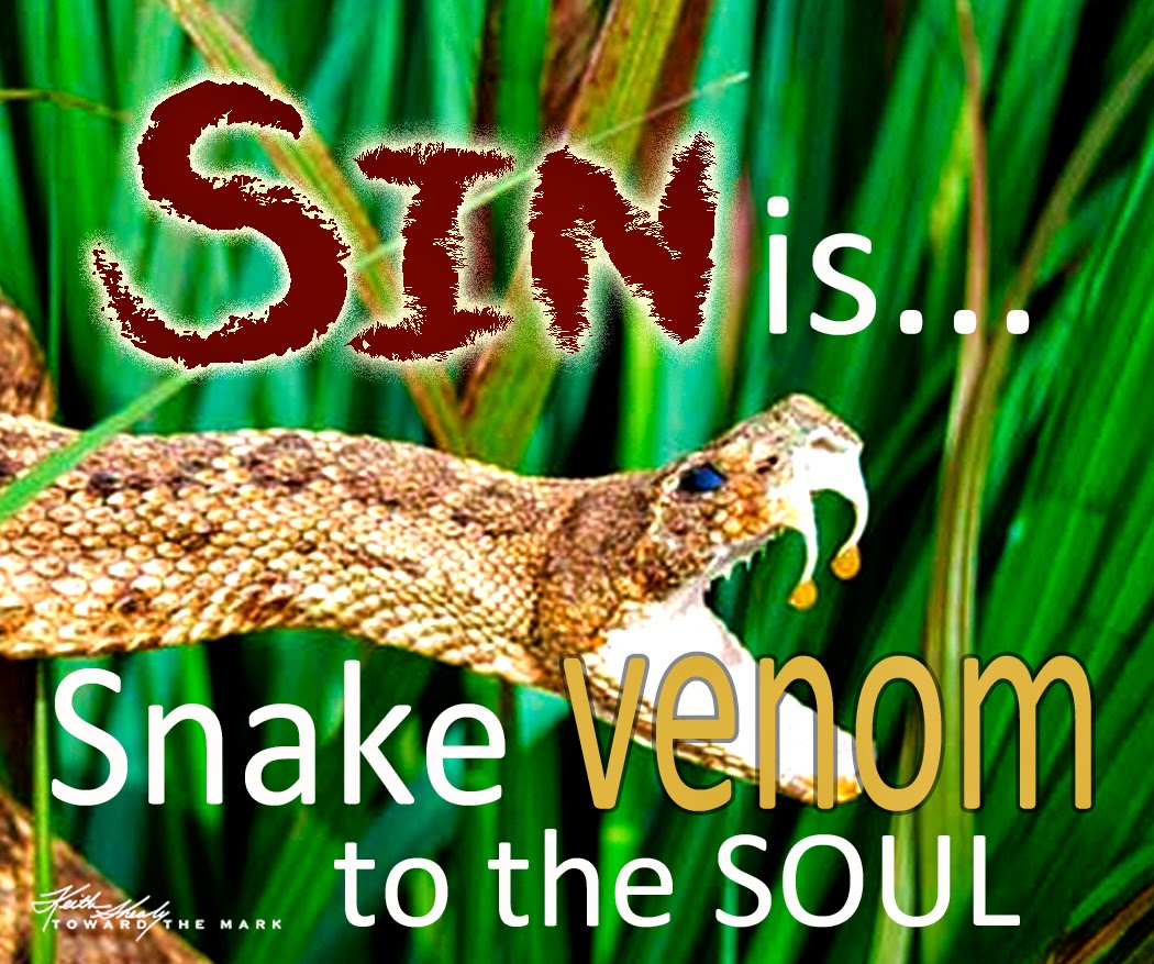 PRESSIN' IN with *Keith Shealy and Toward The Mark* : SIN is Snake ...