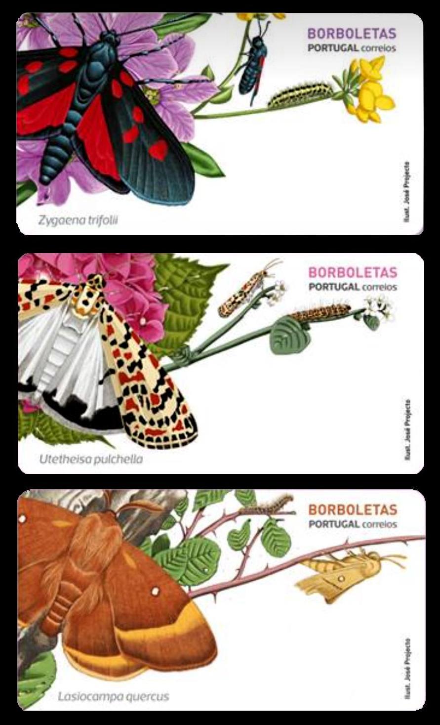 Gulfmann ATM Collection: ATM NEWS ~ Portuguese Moths