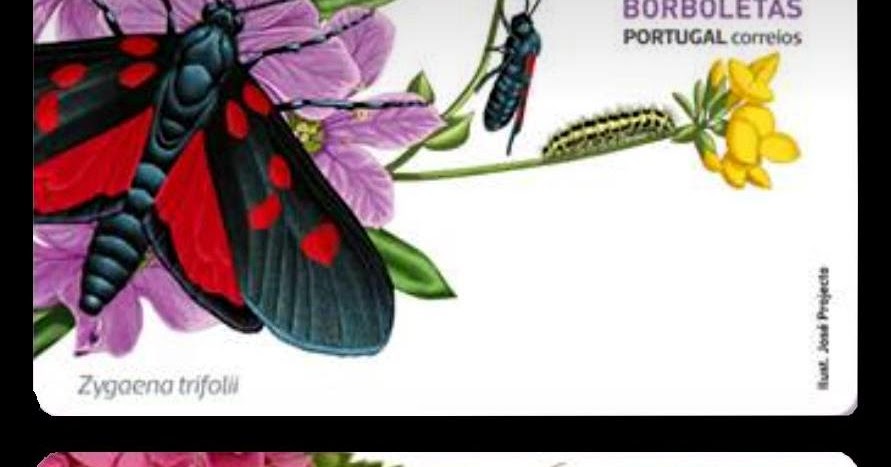 Gulfmann ATM Collection: ATM NEWS ~ Portuguese Moths