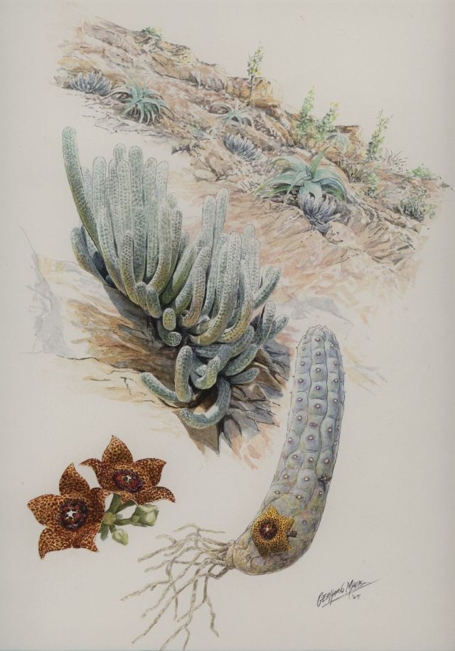 Gerhard Marx: Artwork