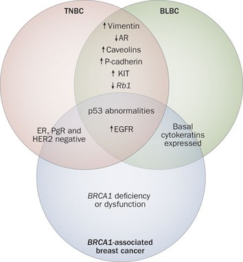 Triple Negative Breast Cancer, "I Won't Back Down!": TNBC Statistics