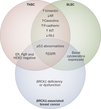 Triple Negative Breast Cancer, "I Won't Back Down!": TNBC Statistics