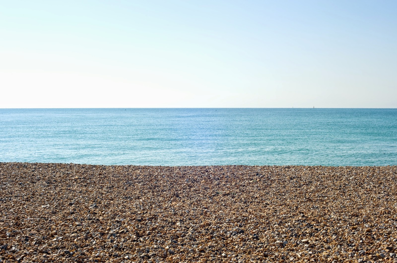 Camille's Photography Blog : Elements and Principles of Photograghy