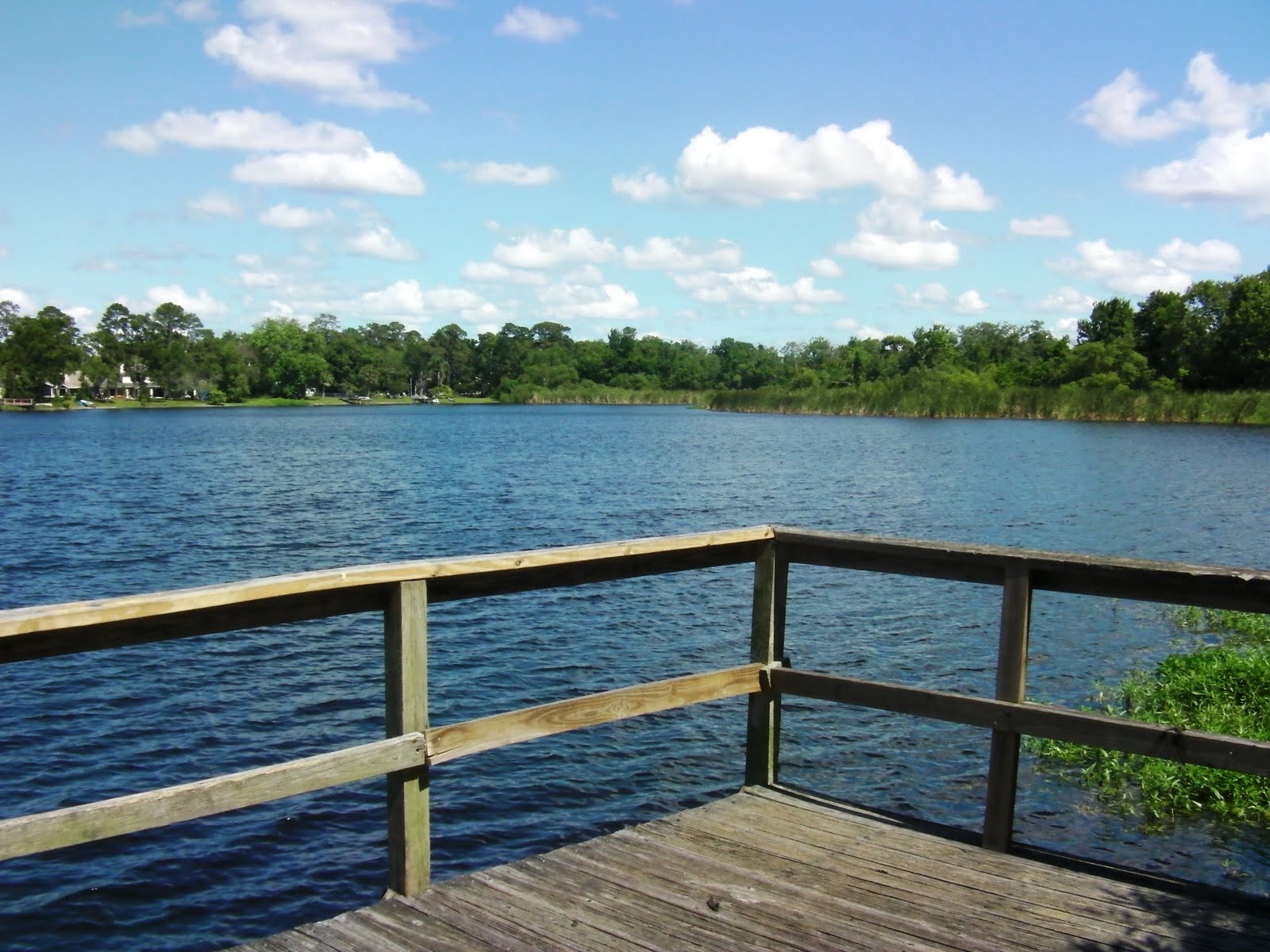 Start Well In Your Home School: Florida Field Trips #4: Secret Lake Park