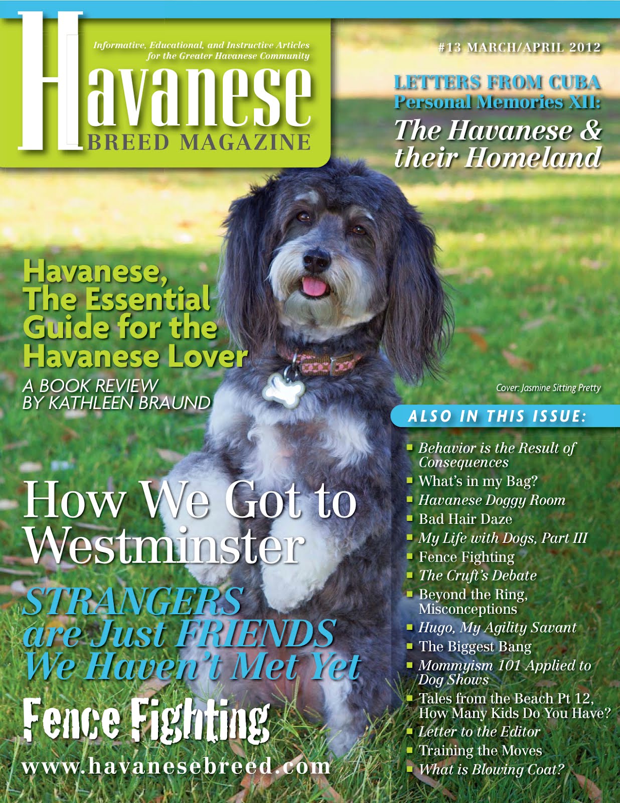 My Favorite Pup Jasmine: Cover Girl! For Havanese Breed Magazine!