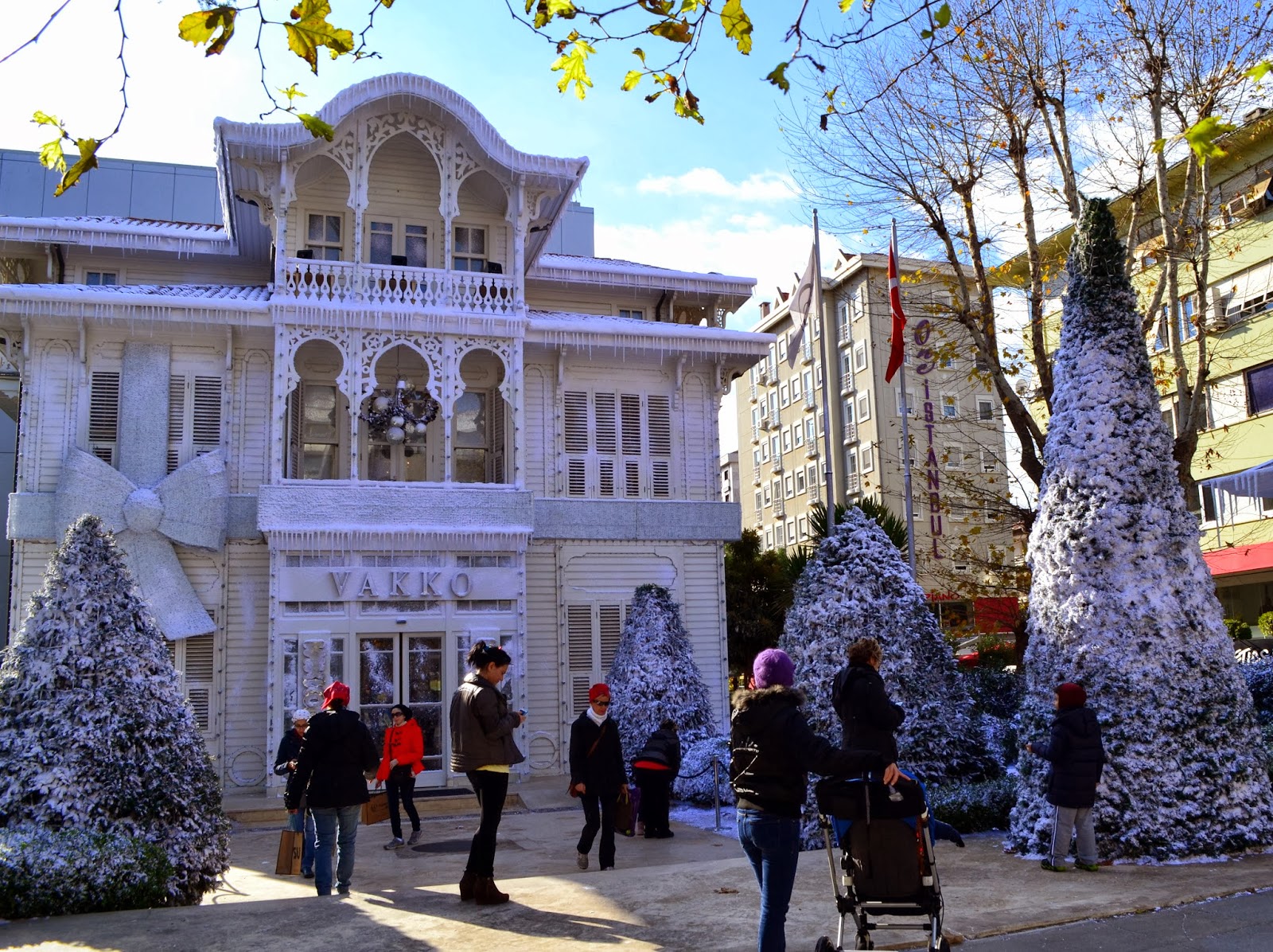 Fusion Passion: My Turkish Christmas