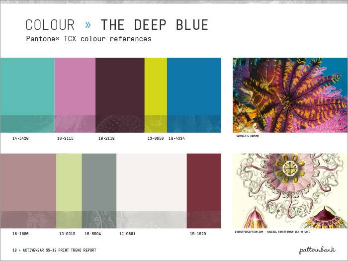 Color Trend Spring Summer 2019 | Promo Lazada Terbaru