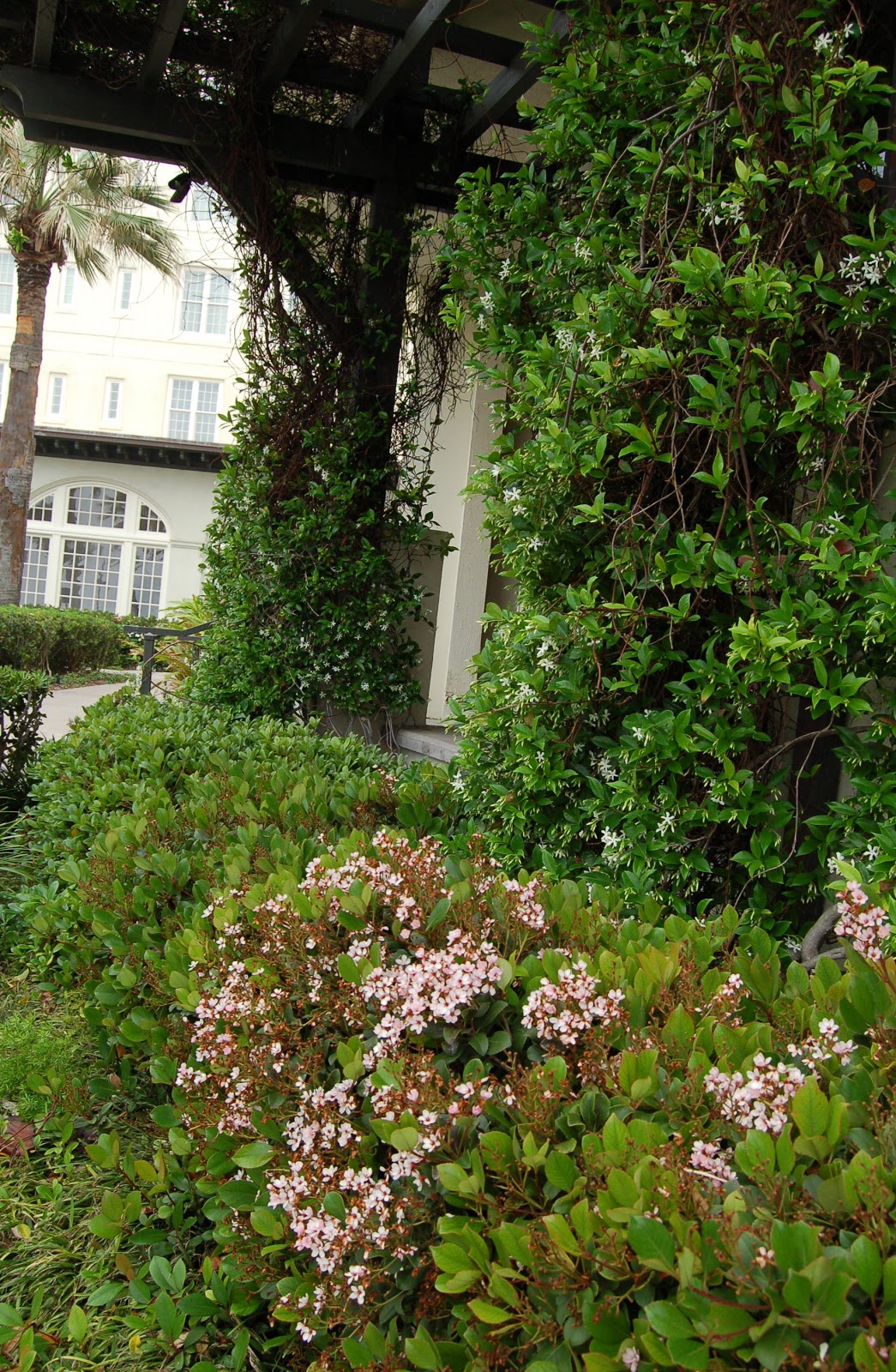 By the Way: Galveston Getaway: The Galvez