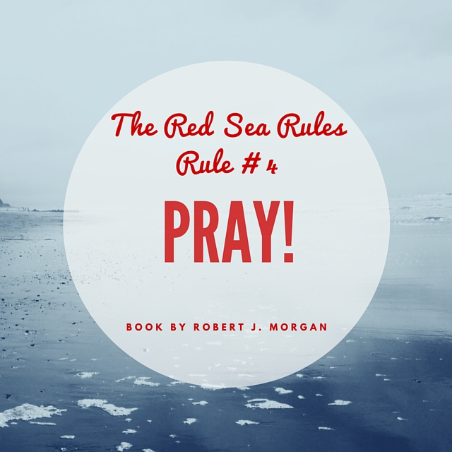 Thoughts from Scott: Red Sea Rule #4