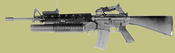 M16 Rifle ~ asian defence