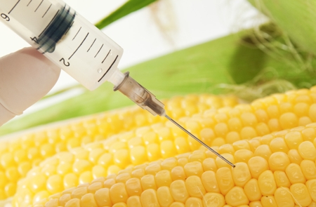 10 ventajas y desventajas de los productos transgénicos ~ Nutriopolis