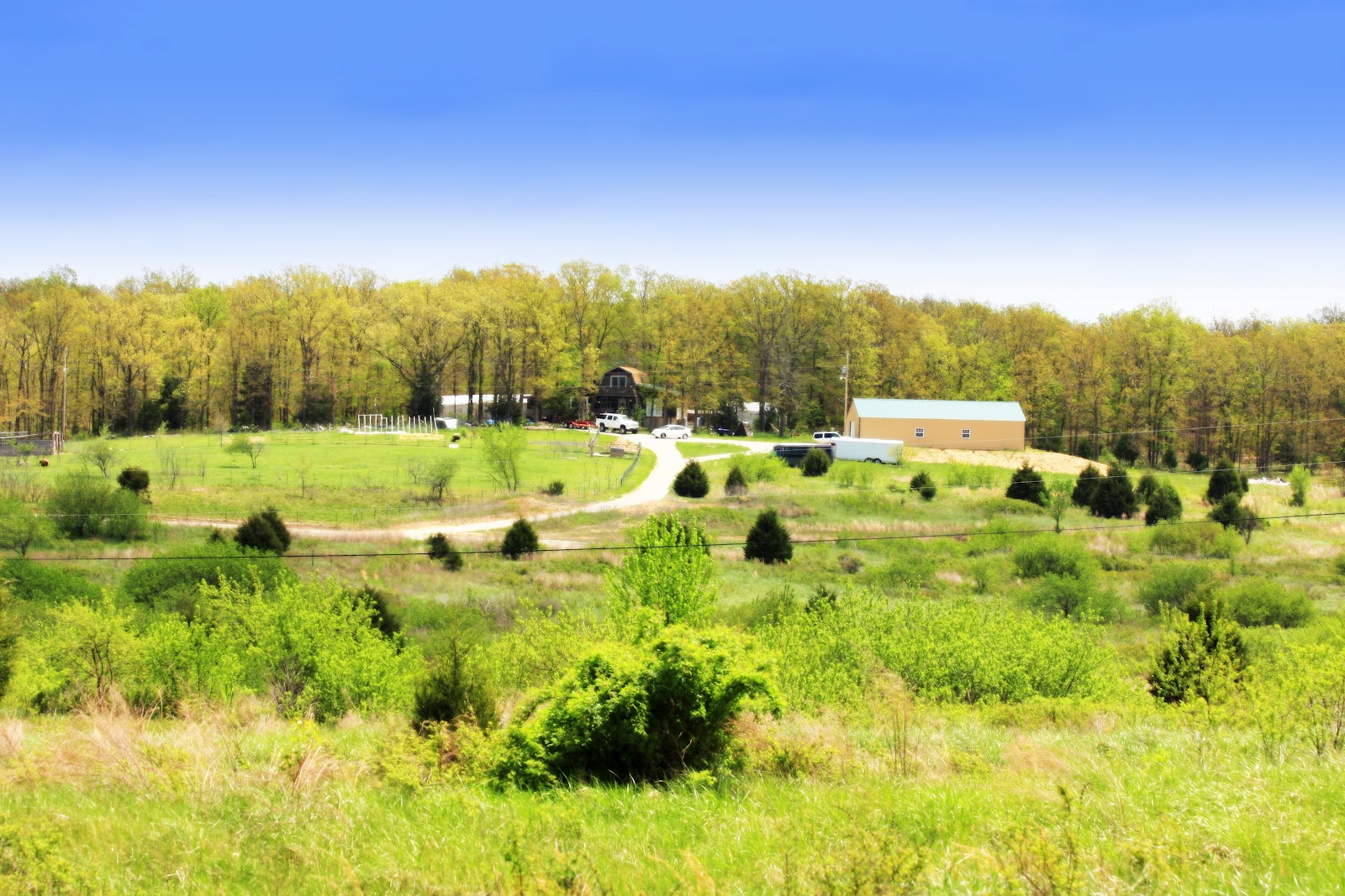 TOUR CLICK HERE! | Hobbit House Farm