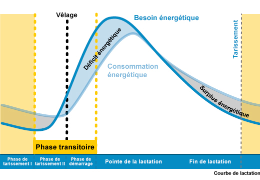 C'est l'avenir qui prim': Quid du lait