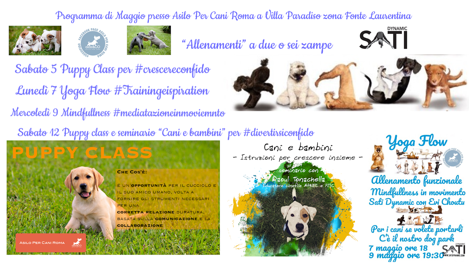 Asilo Per Cani Eur attività cinofile dal cucciolo al cane adulto come ...