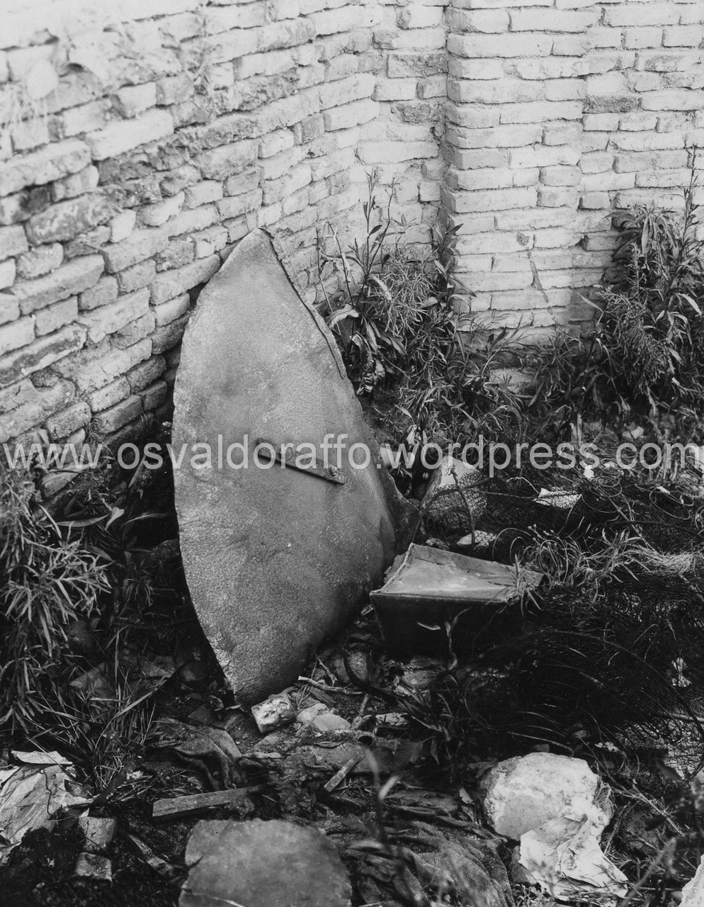 El Septimo Circulo: El Petiso Orejudo- Maria Moreno.-