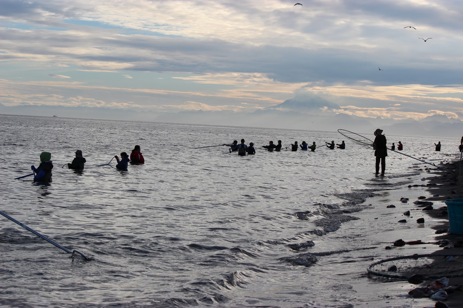 Our Alaskan Adventures: Dipnetting