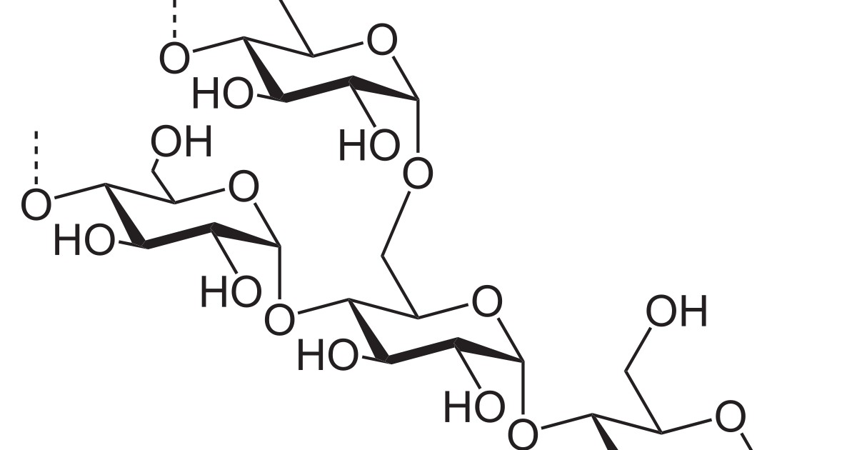 Práctica 6 - "Acción Ptialina"