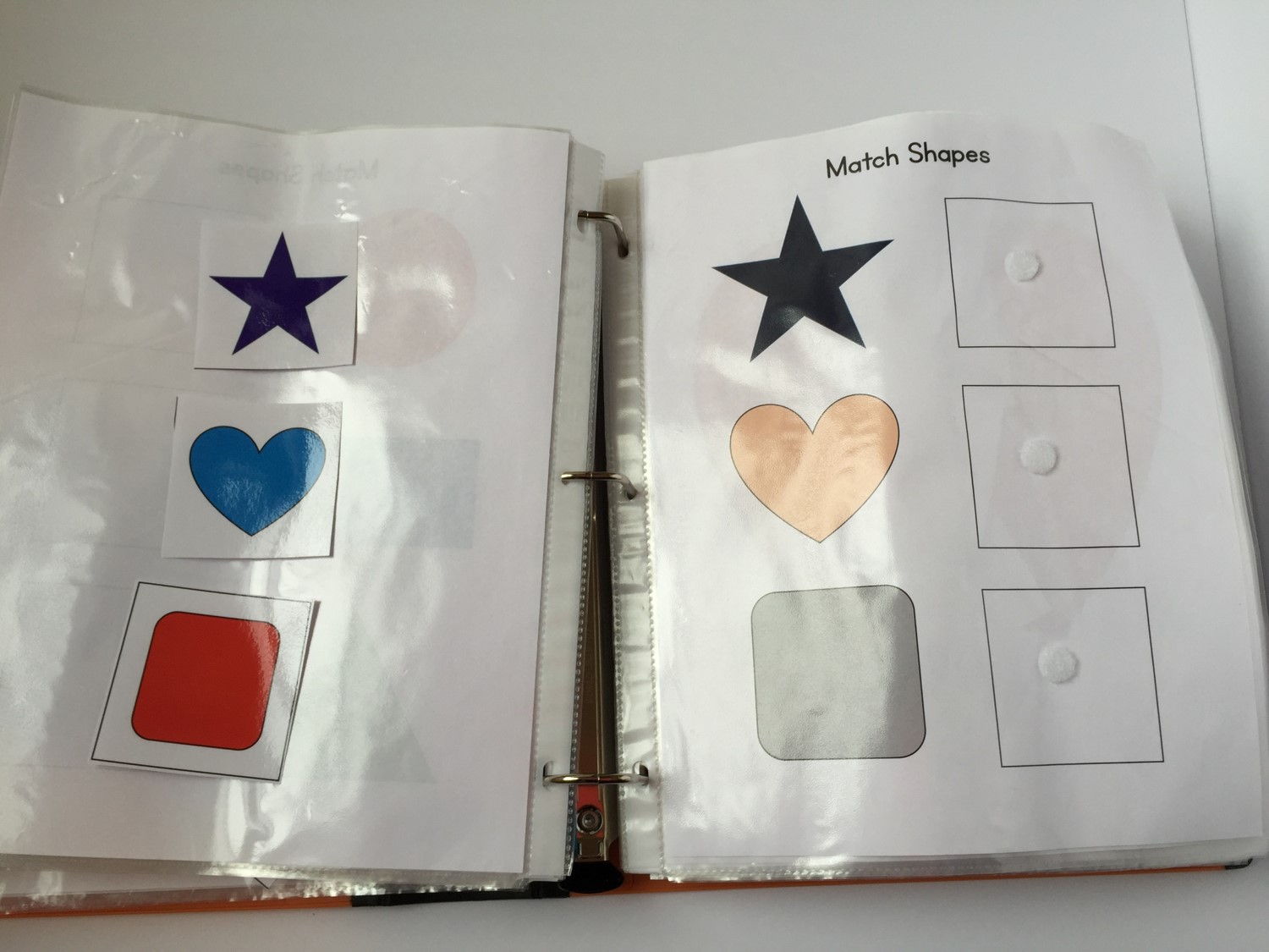 Miss Martel's Special Class: Adaptive Work Binder