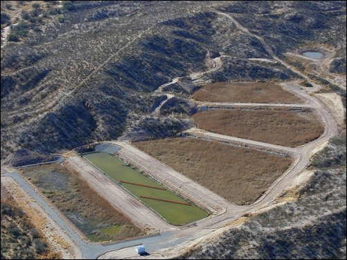 Environmental Biology: LAB PROJECT 4