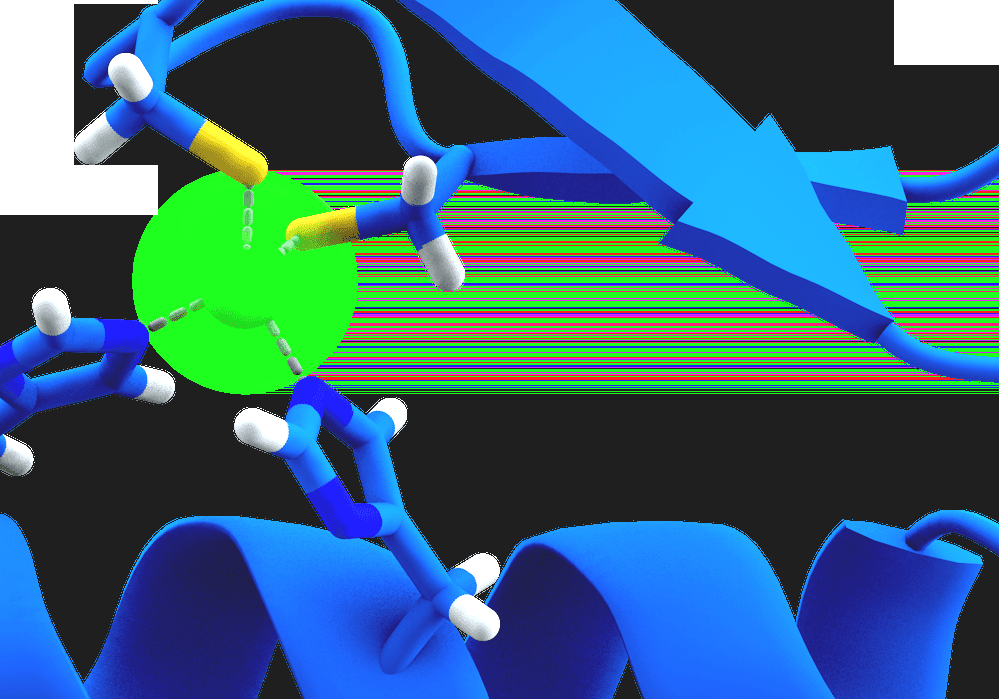 Zinc Finger - Zinc Finger Domain