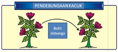 Sains Bab 4-Tingkatan 3