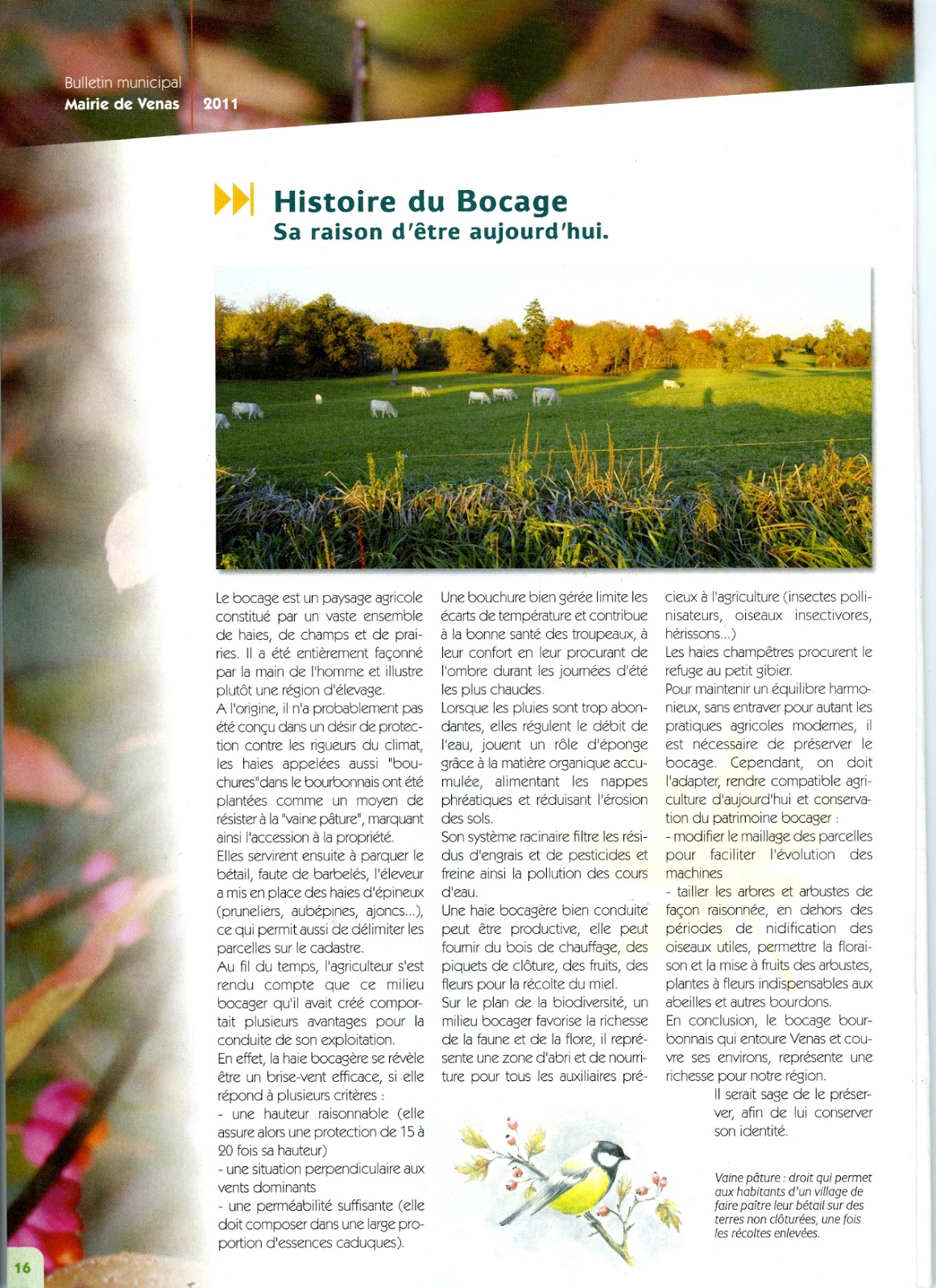 Association 3B: [TEXTE] Histoire du bocage