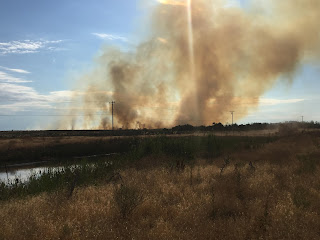Fire Update 7/27/2017 | The Yellow Pine Times