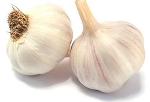 Vidéken Újrakezdők Magazinja: Fokhagyma termesztése