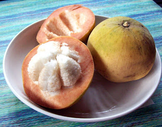 The Earth of India: All About Santol