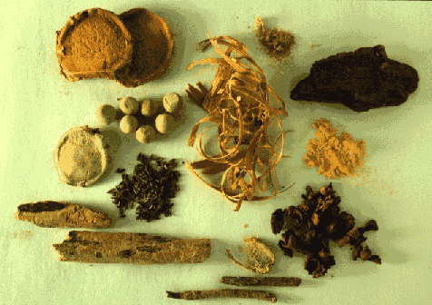 Farmakognosi: cara pembuatan simplisia