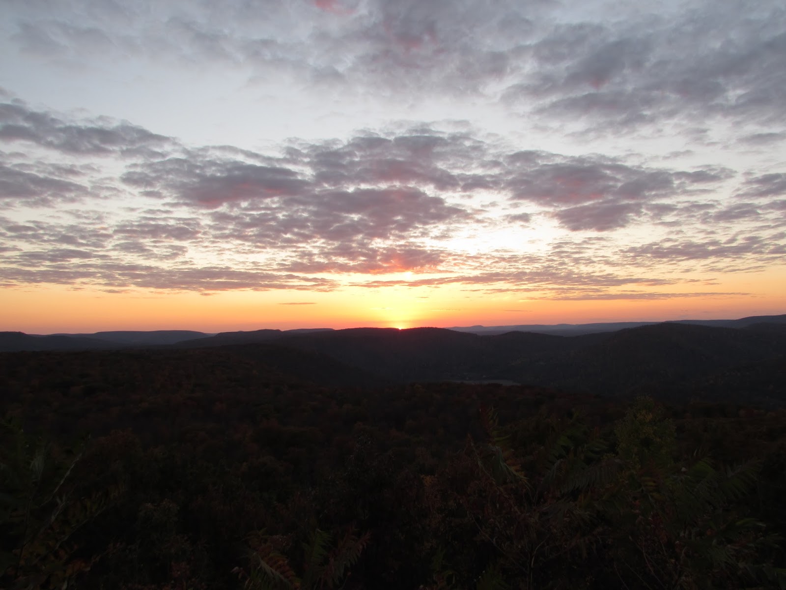 High Knob Overlook and Dry Run Falls: Loyalsock State Forest, Sullivan ...