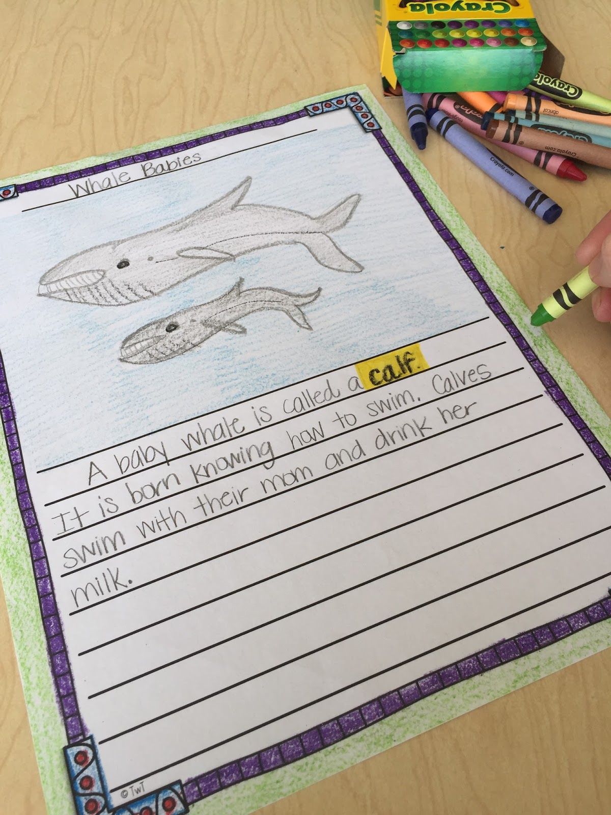 Teaching With Terhune: Ocean Unit with Informative Writing!