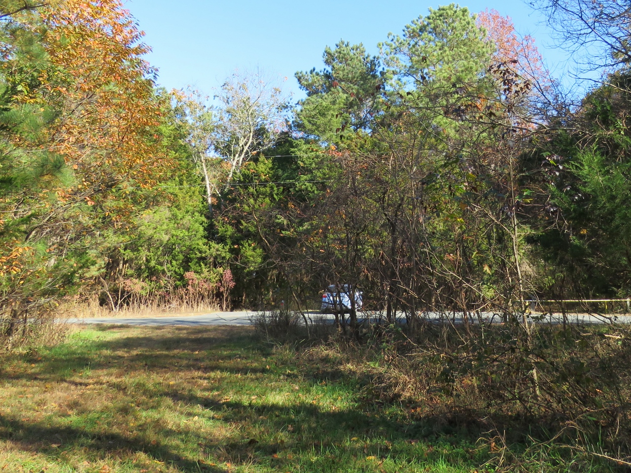 Gone Hikin': Prime Hook National Wildlife Refuge, DE