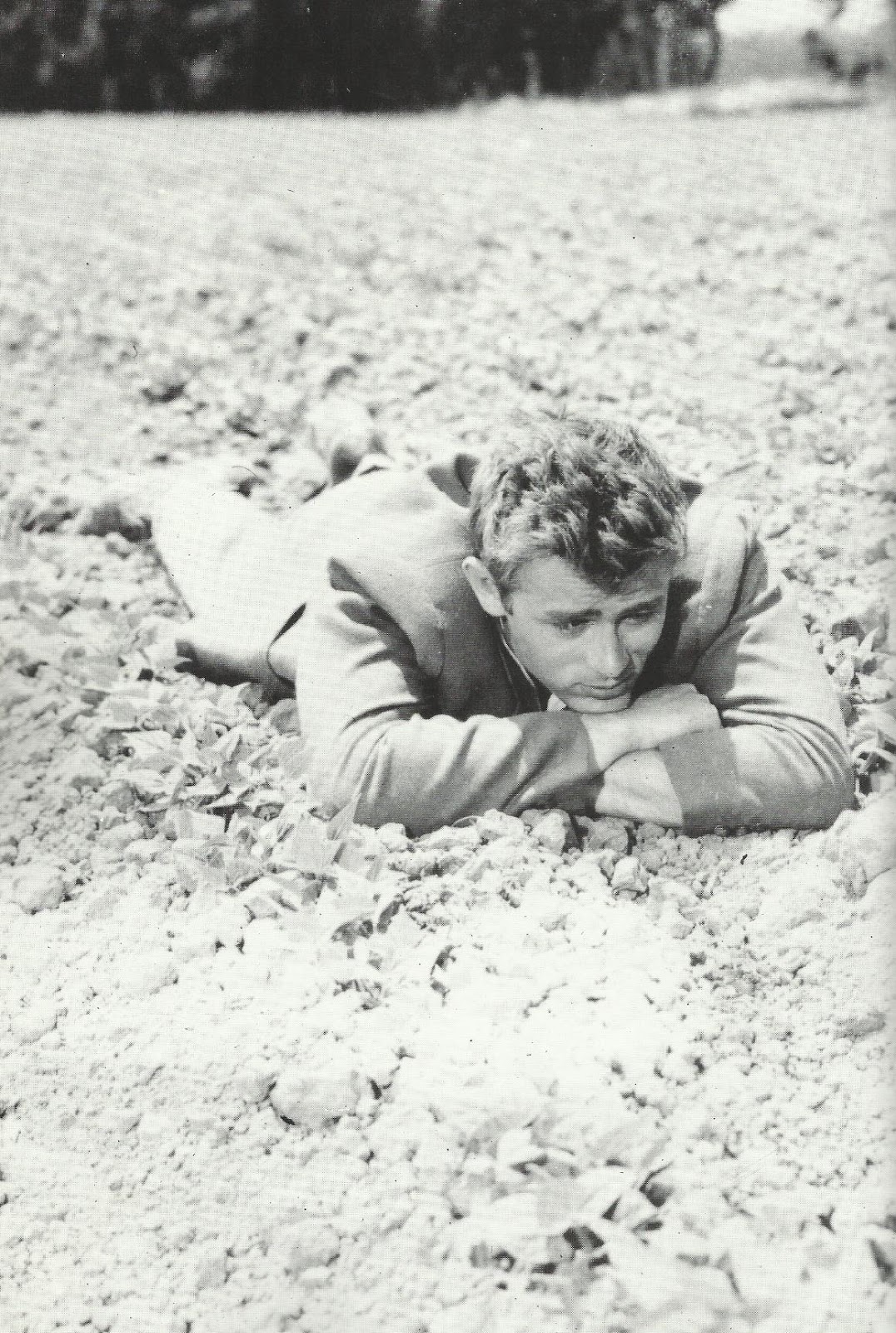 JAMES DEAN: TIRADO, DESPATARRADO O DURMIENDO. LAID, SPLAYED OR SLEEPING