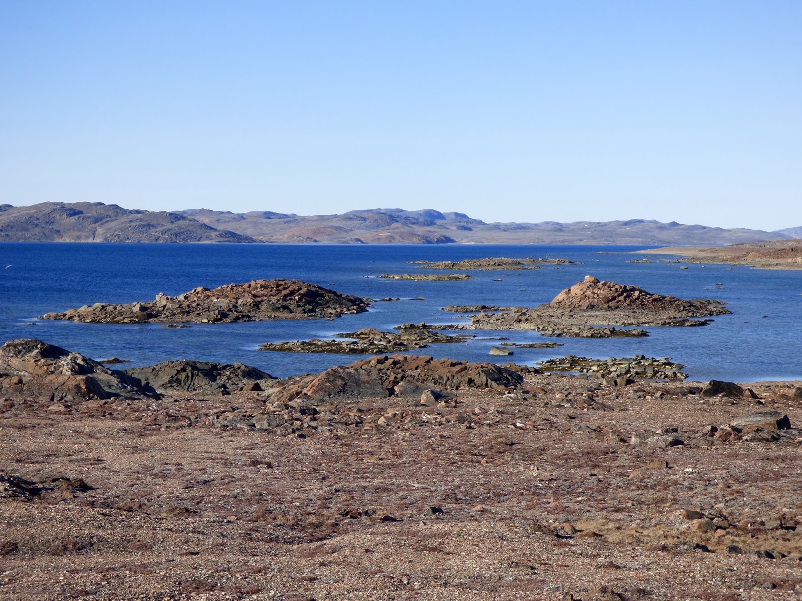 Half and Half Adventures: A magical Day in the Canadian Arctic: Polar ...