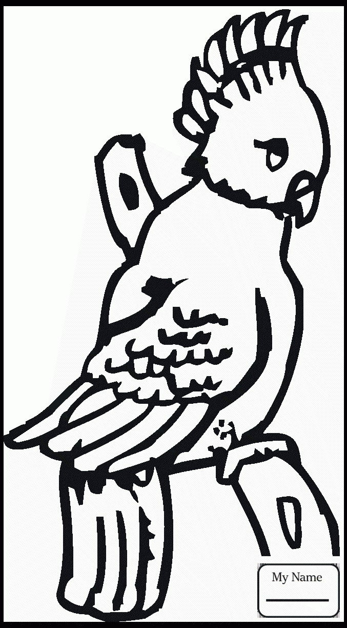 cockatoos coloring pages - jiahajava