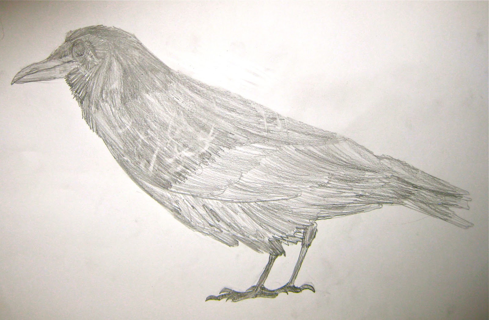 Susan's Art Club: "Rooks"