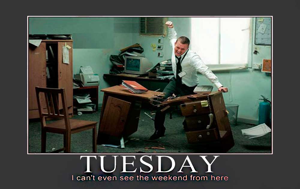 Funny Tuesday Quotes to be Happy on Tuesday Morning