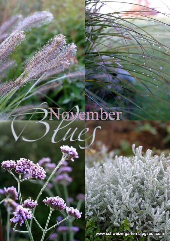November im Garten des Lebens...