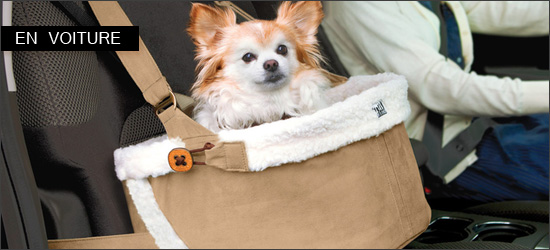 Siège auto canin pour voyager en voiture en toute sécurité. - Woof mag ...