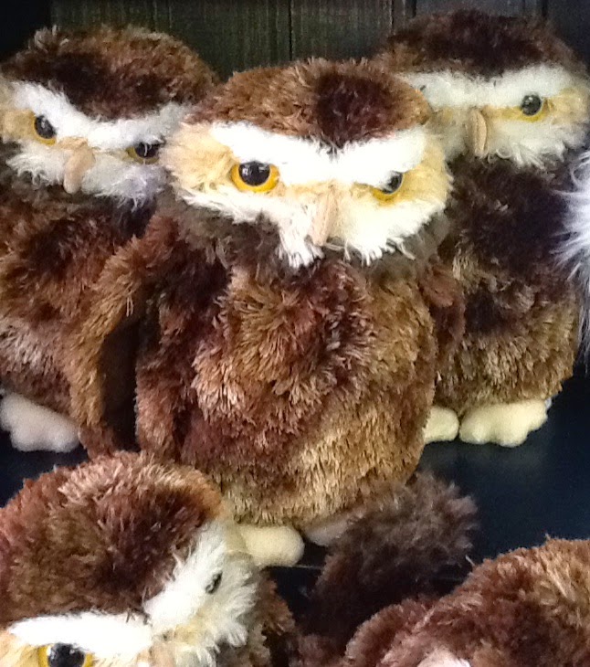 Keillor's A Teddy Bear Shoppe: Barn Owls invade Keillor's